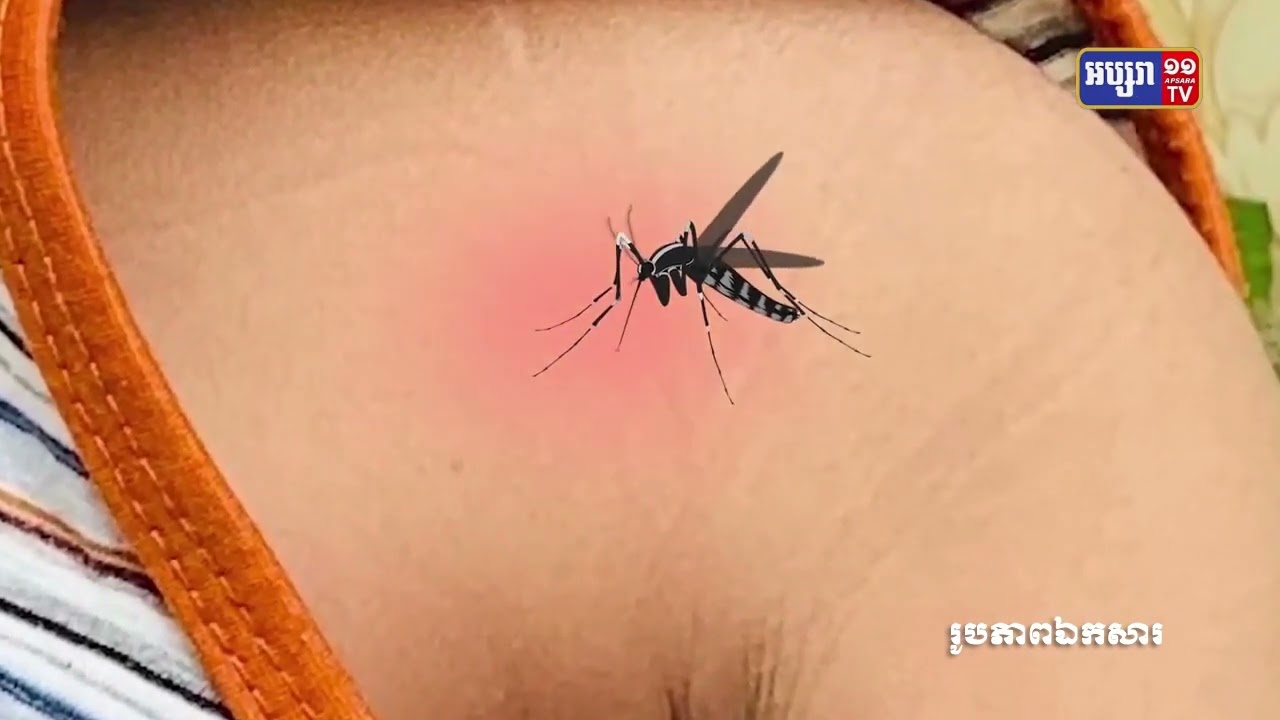 មន្ត្រីសុខាភិបាលដាស់តឿនការប្រុងប្រយ័ត្នជម្ងឺគ្រុនឈាម (Video Inside) AMS Central